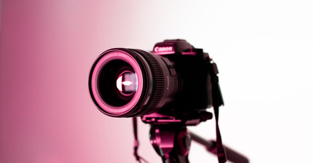 Photographe en alternance : opportunités et conseils pour débuter | Les ...